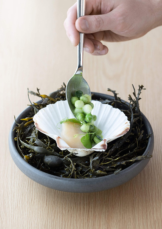 Almanak in the Royal Opera - Nordic gourmet with view to Amalienborg